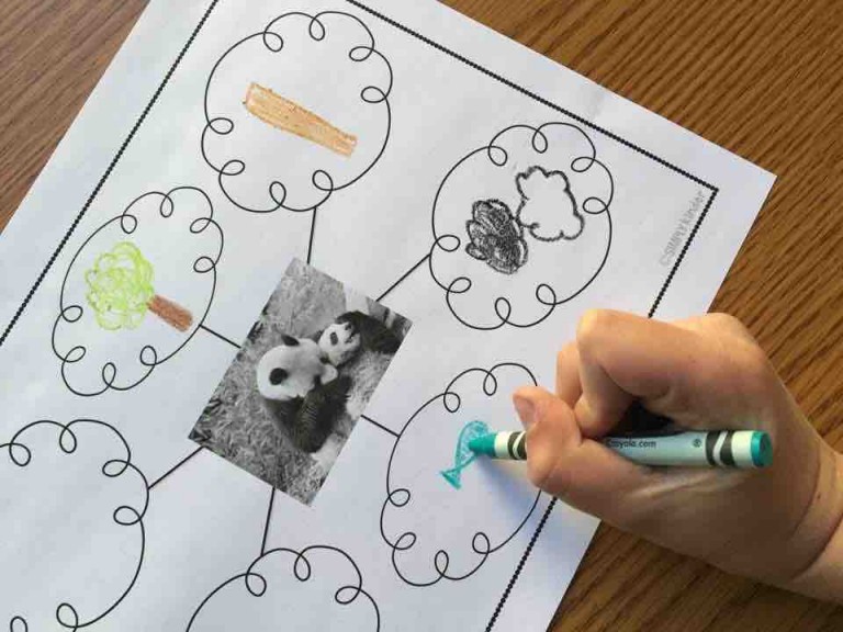 Nonfiction Panda Activities - Simply Kinder