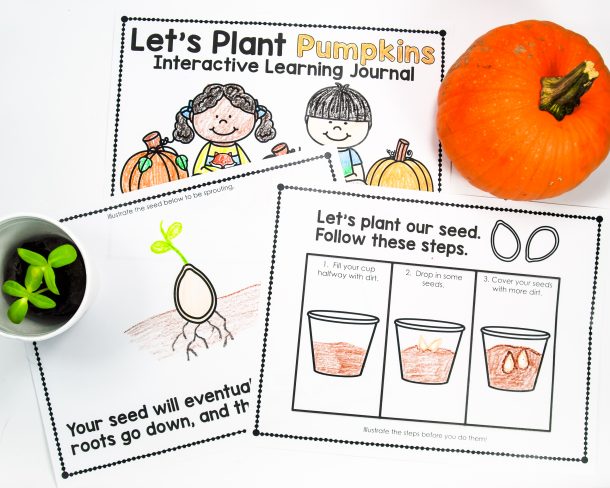 Counting Pumpkin Seeds - Simply Kinder