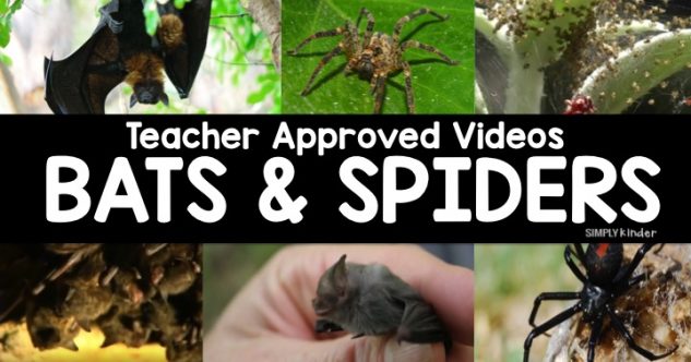 Bat & Spider Videos for Kids - Simply Kinder