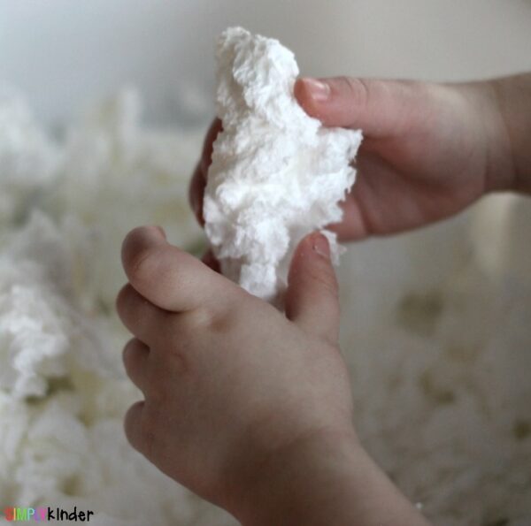 Growing Ivory Soap Science Experiment - Simply Kinder