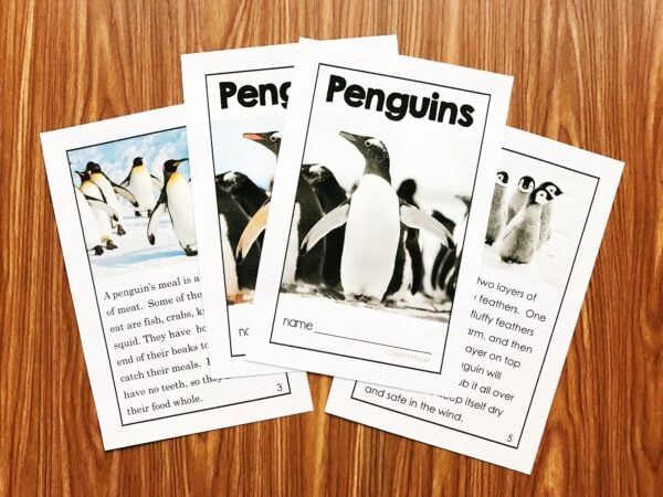 Penguin Activities - Simply Kinder