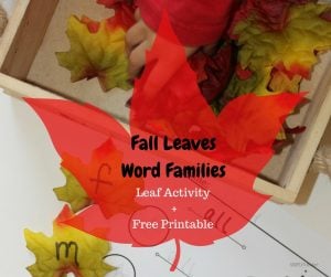 Fall Leaves Word Family Activity + Free Printable - Simply Kinder