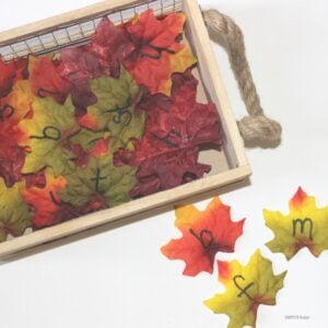 Fall Leaves Word Family Activity + Free Printable - Simply Kinder