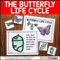 Butterfly Life Cycle Interactive Book for Kindergarten - Simply Kinder
