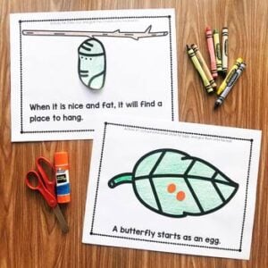 Butterfly Life Cycle Kindergarten - Simply Kinder