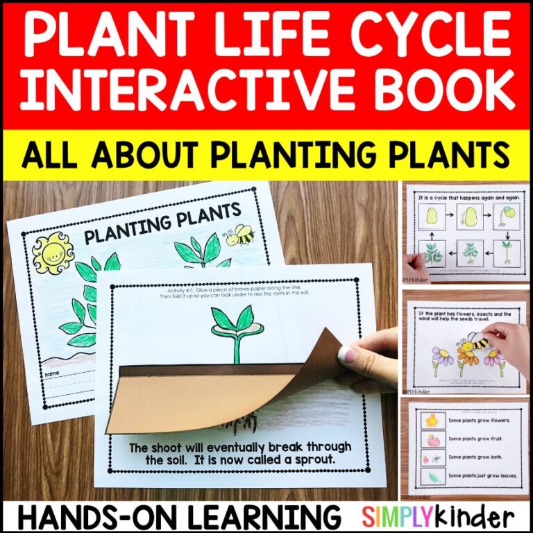 Plant Life Cycle Activities - Simply Kinder