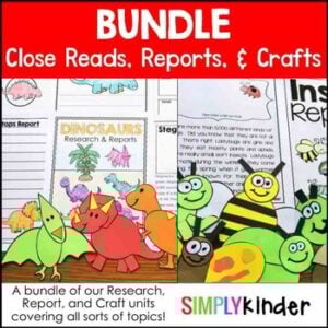 Research Report Bundle - Simply Kinder