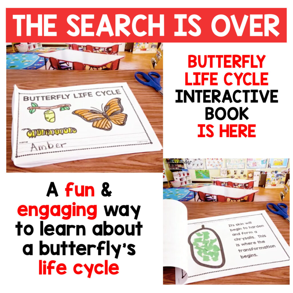 Butterfly Life Cycle Interactive Book for Kindergarten - Simply Kinder