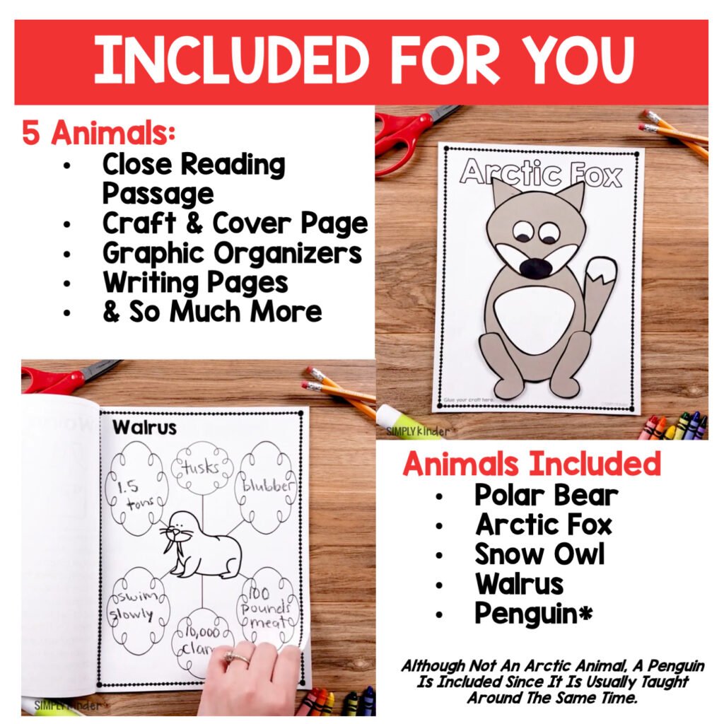 Arctic Animals Unit Kindergarten Research w/ Crafts, Close Reads ...