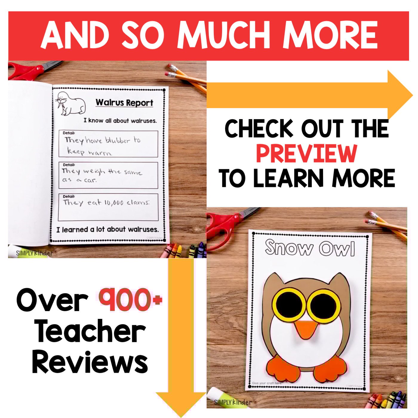 Arctic Animals Unit Kindergarten Research w/ Crafts, Close Reads ...