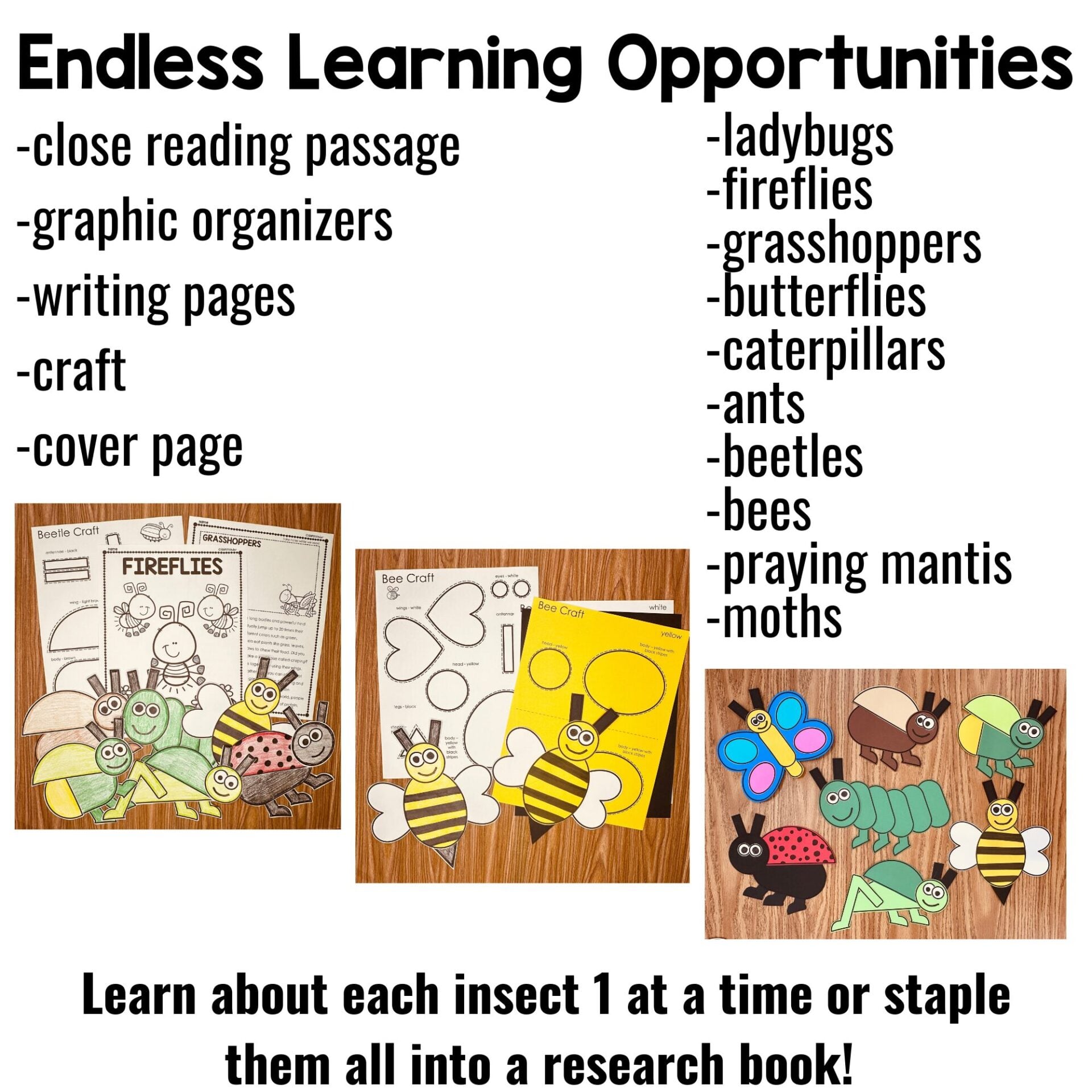 Bugs & Insect Activities, Spring Research Reports Writing & Crafts ...