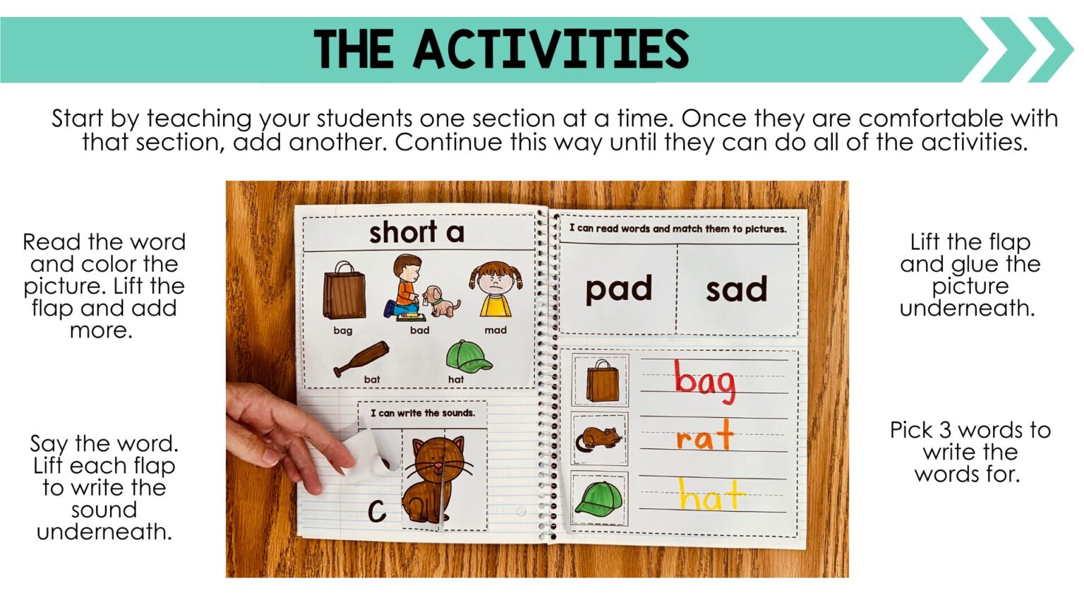 CVC Words Interactive Notebook - Simply Kinder