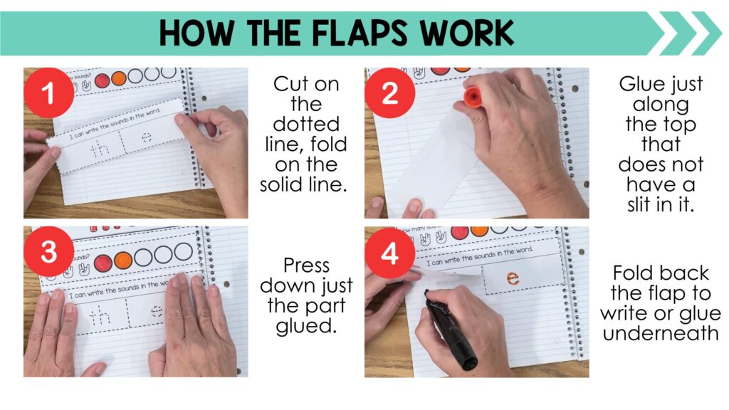 Interactive Notebooks BUNDLE: Math, Sight Words, CVC, Alphabet, Nursery ...