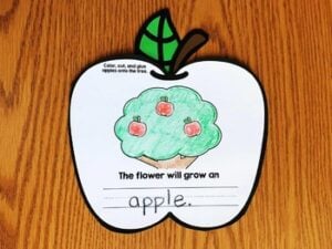 All About Apples - Apple Activities Book for Kindergarten and First ...