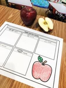 Apples - Easy Apple Science Experiments - Simply Kinder