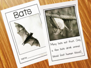 Bats Kindergarten Book and Activities - Simply Kinder