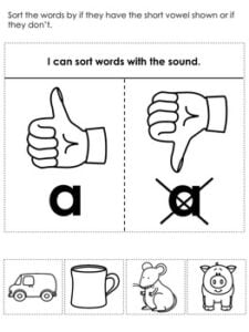 CVC Interactive Notebook - Simply Kinder