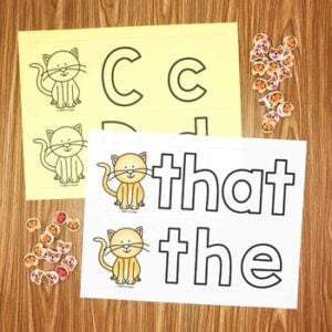 Cat Mini Eraser Activities - Letters and Words - Simply Kinder