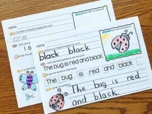 Cut and Glue Sentences - Spring Cut and Paste Sentence Writing Practice ...