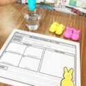 Easter Activities - Spring Marshmallow Science - Simply Kinder