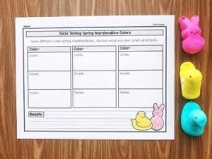 Easter Activities - Spring Marshmallow Science - Simply Kinder