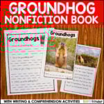Groundhog Day Activities: Nonfiction Book with Activities - Simply Kinder