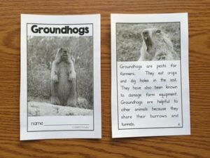 Groundhog Day Activities: Nonfiction Book with Activities - Simply Kinder