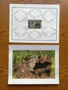 Groundhog Day Activities: Nonfiction Book with Activities - Simply Kinder