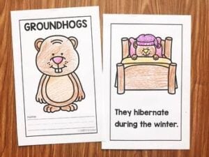 Groundhog Day Reader Print, Seesaw, Google - Simply Kinder