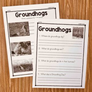 Groundhog Day Activities: Nonfiction Book with Activities - Simply Kinder