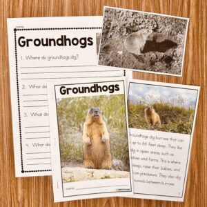 Groundhog Day Activities: Nonfiction Book with Activities - Simply Kinder