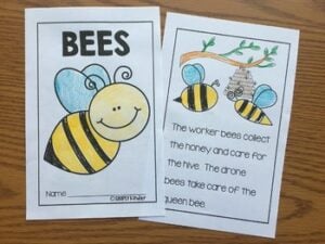 Insect Easy Readers for Little Learners - Simply Kinder