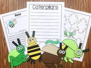 Bugs and Insect Research Reports and Crafts for Kindergarten - Simply ...