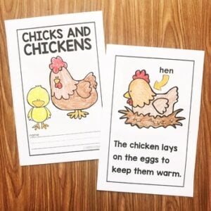 Life Cycle Easy Readers - Simply Kinder