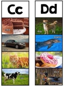 Nonfiction Alphabet Cards - Simply Kinder