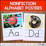 Nonfiction Alphabet Posters - Simply Kinder