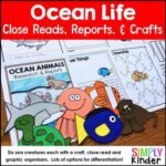 Ocean Animals Reports - Simply Kinder
