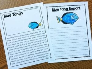 Ocean Animals Reports - Simply Kinder