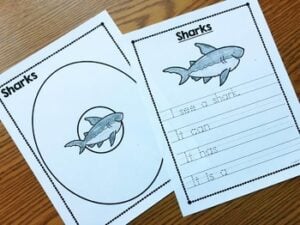 Ocean Animals Reports - Simply Kinder