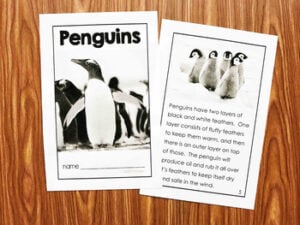 Penguin Nonfiction Book with Real Pictures and Activities for ...