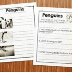 Penguin Nonfiction Book with Real Pictures and Activities for ...