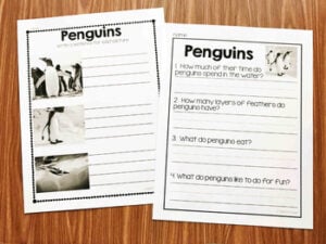 Penguin Nonfiction Book with Real Pictures and Activities for ...