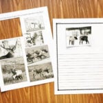 Reindeer Nonfiction Book with Activities - Simply Kinder