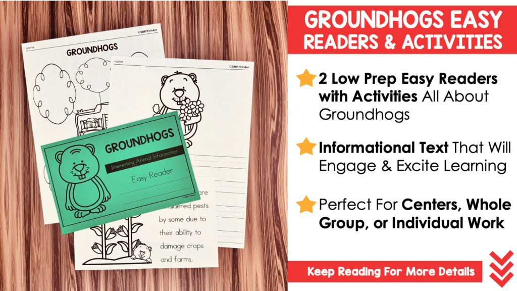 Groundhog Day Activity Book, Reading Comprehension & Writing for ...