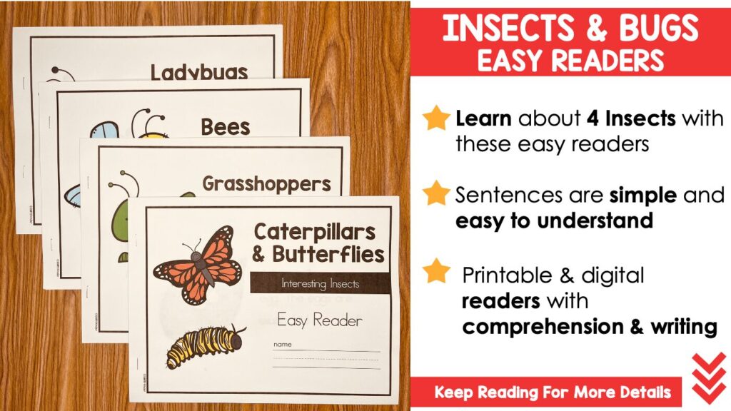 Insect & Bugs Nonfiction Readers & Comprehension Activities for ...
