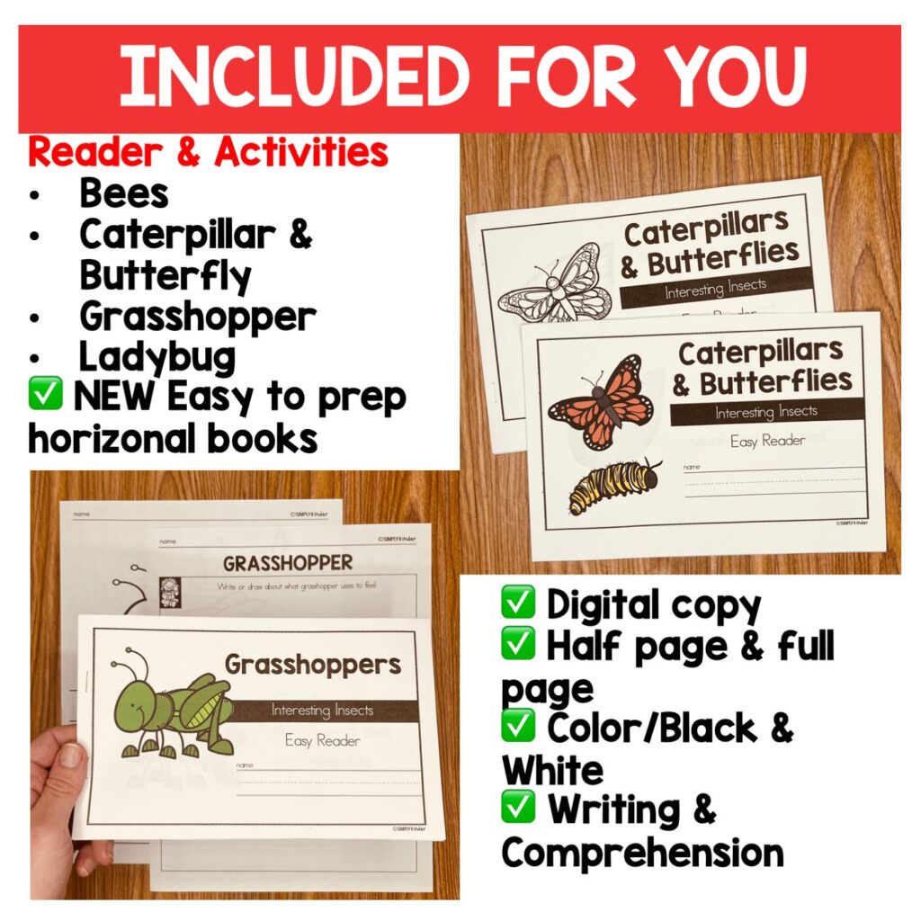 Insect & Bugs Nonfiction Readers & Comprehension Activities for ...