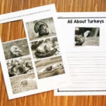 Turkey Nonfiction Story - Simply Kinder