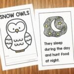 Winter Animals Easy Readers - Simply Kinder