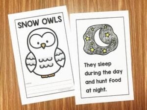 Winter Animals Easy Readers - Simply Kinder