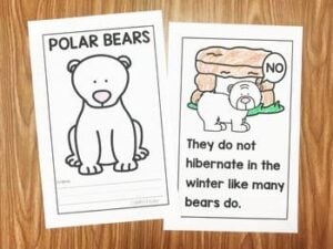 Winter Animals Easy Readers - Simply Kinder